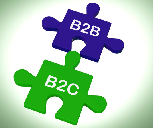 B2B, B2C, 3PL, B2B2, Importers – Why Make a Choice? | Infoware Services
